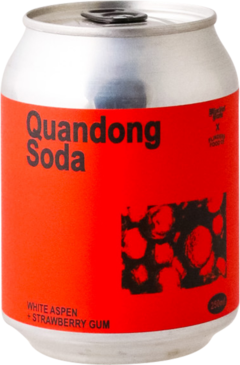 Mischief Brew - Quandong Soda 4PACK